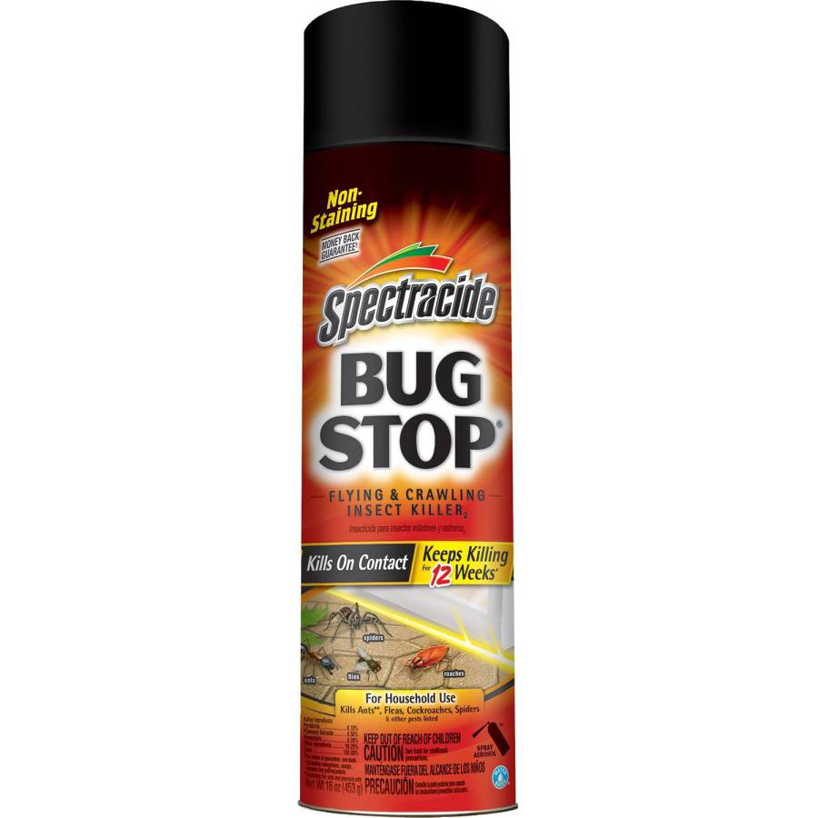 Spectracide Bug Stop Flying & Crawling Insect Killer Aerosol 16oz ...